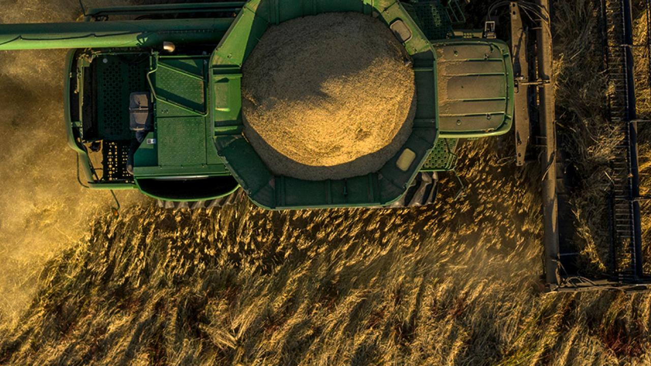 White Papers | Collaboration for Plant Pathogen Strain Identification