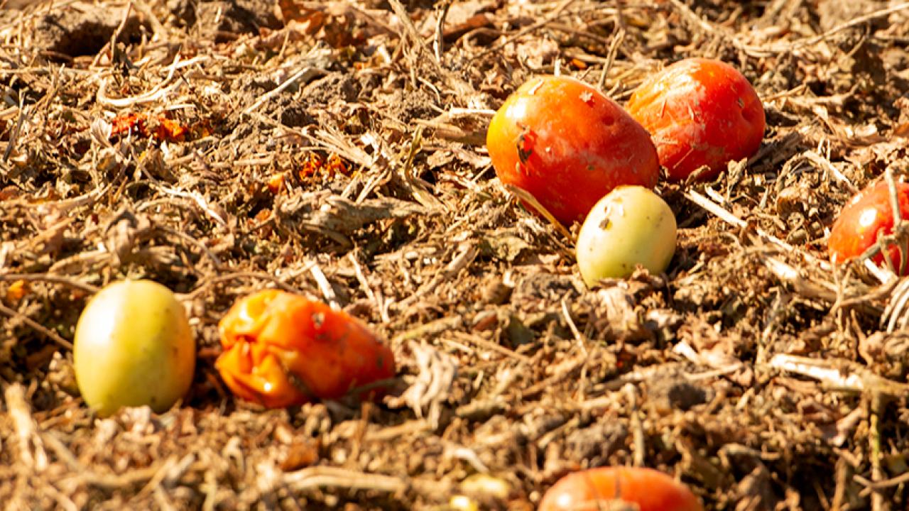 Membership Information | Collaboration for Plant Pathogen Strain ...